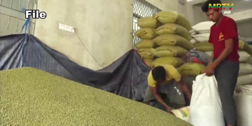 Bean Export: Over 680,000 tons exported in 5 months of 2022-2023 FY | Myanmar International TV